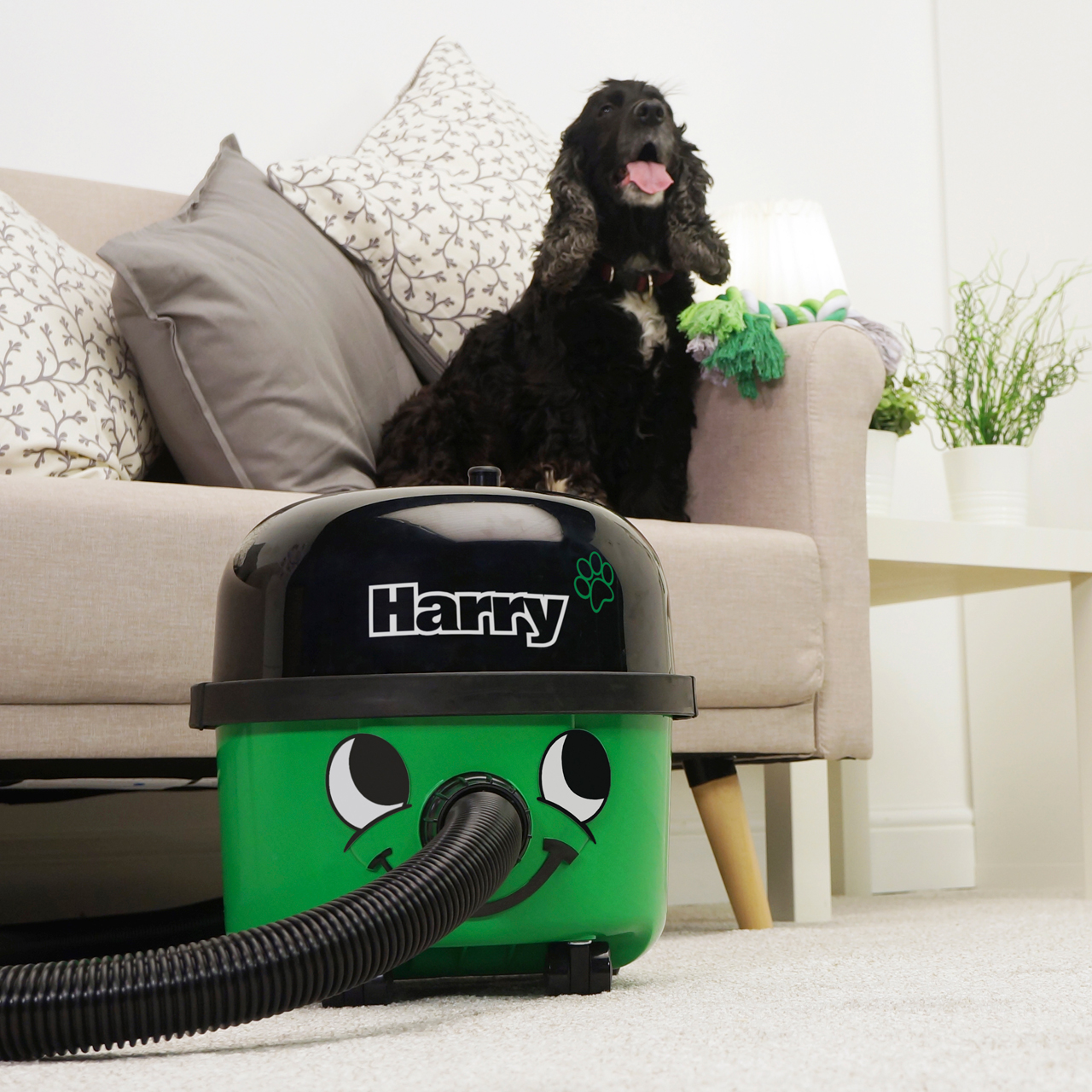 Numatic HHR200-11 Harry Cylinder Vacuum Cleaner Bagged Pet Hair Removal ...